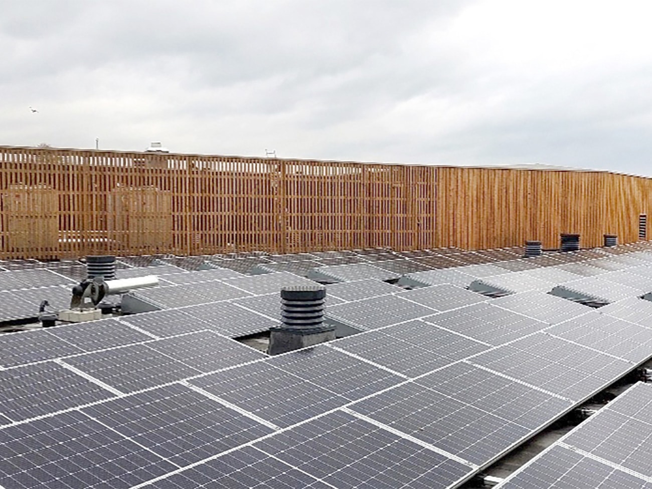 Volta School Beilen start in fris en duurzaam gebouw