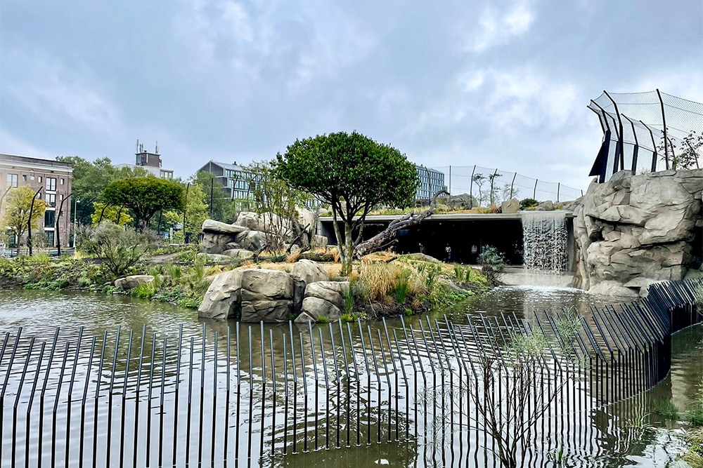 ‘Bouwen in een dierentuin is echt anders’
